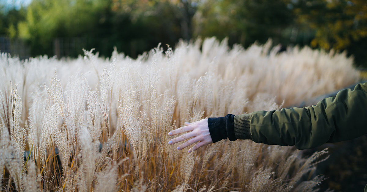 Using your five senses to ground your body and mind - Your Story ...